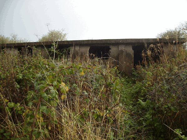 Historic Aviation Military - Miscellaneous